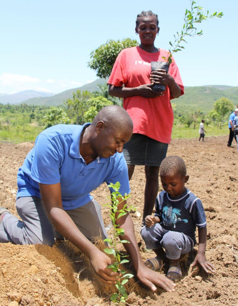 Timberland Commits to Plant Millions of Trees in Haiti – HAITIAN-TRUTH ...